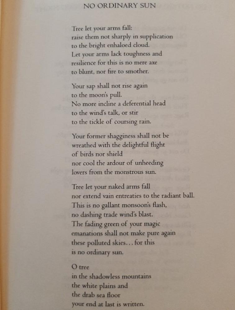 National Poetry Day - August 21