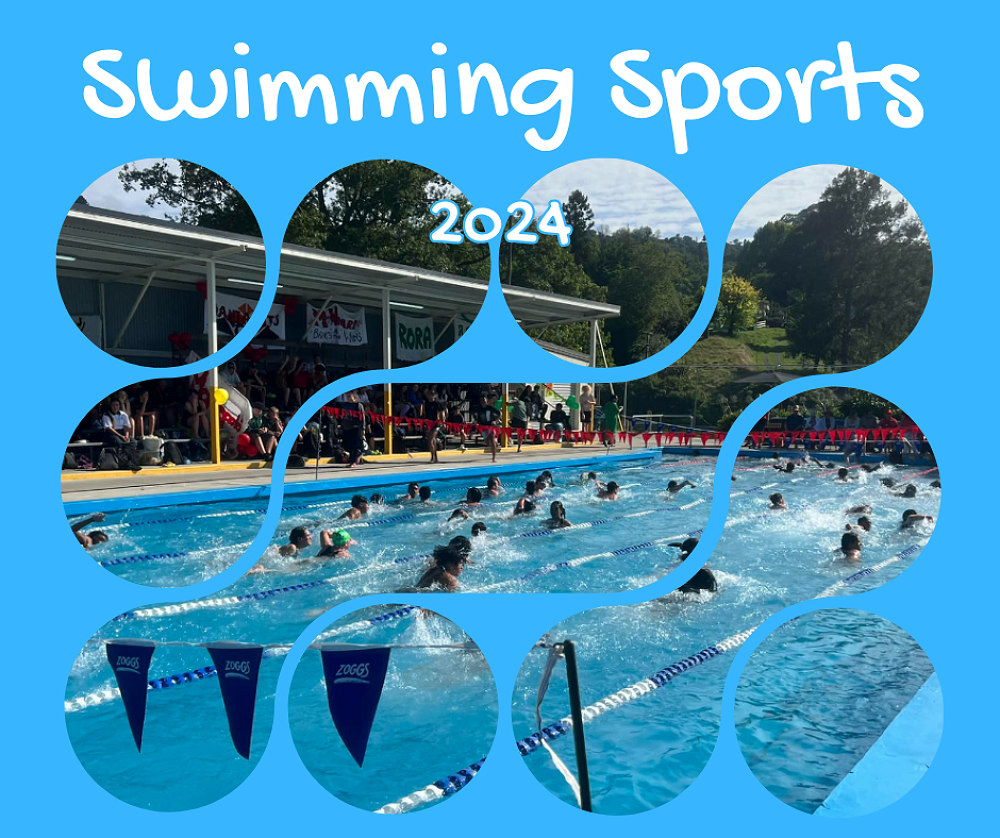 Swimming Sports 2024 — TKHS Newsletter - Term 1 : Week 3