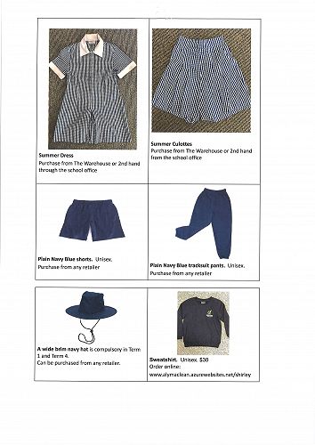 Shirley Primary School