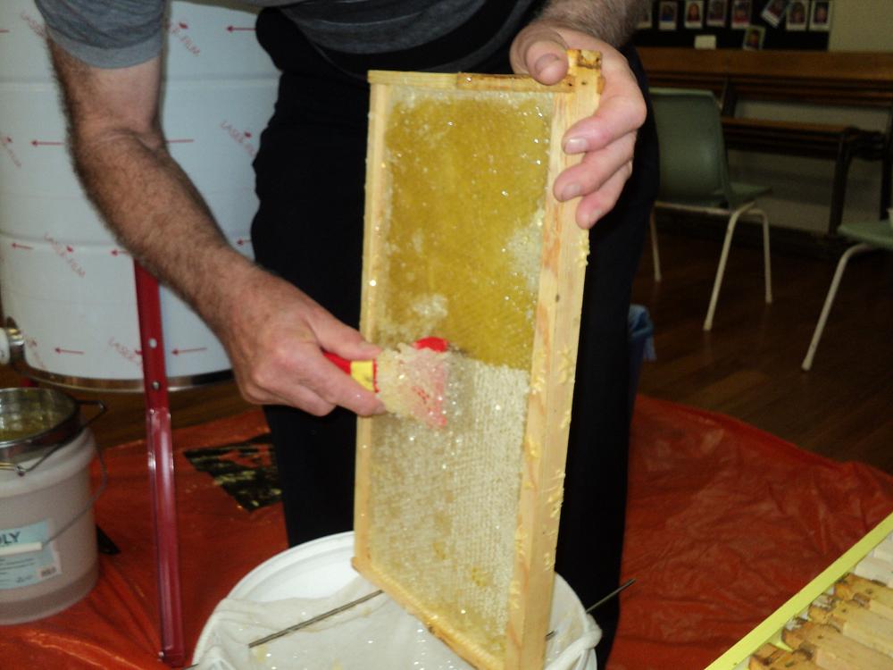 Honey Extraction Demonstration
