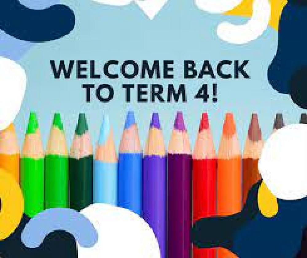 Year 2 and 3 Team Term 4 2023 Pānui