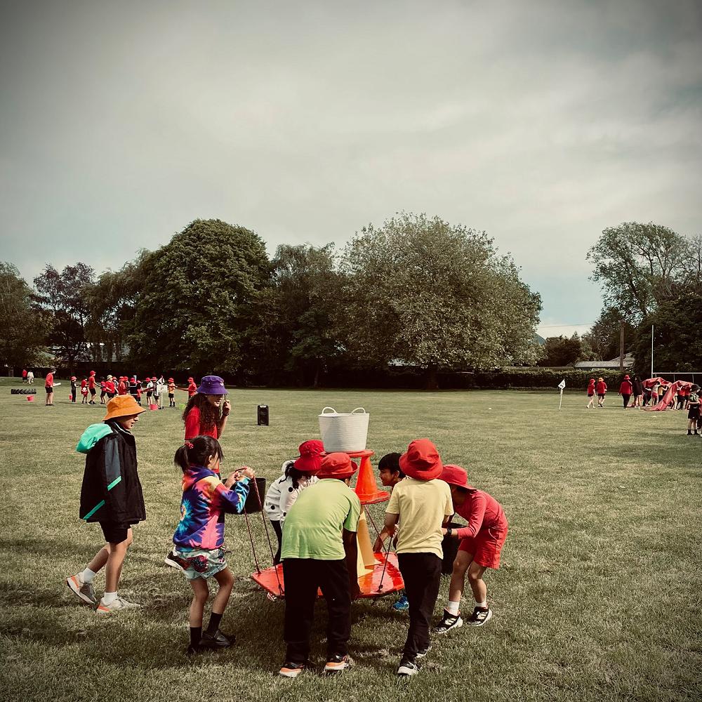 Friday, 24th November 2023 - Newsletter