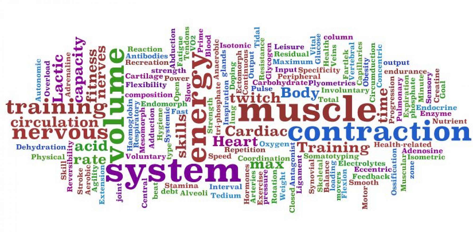 Physical Education Dept