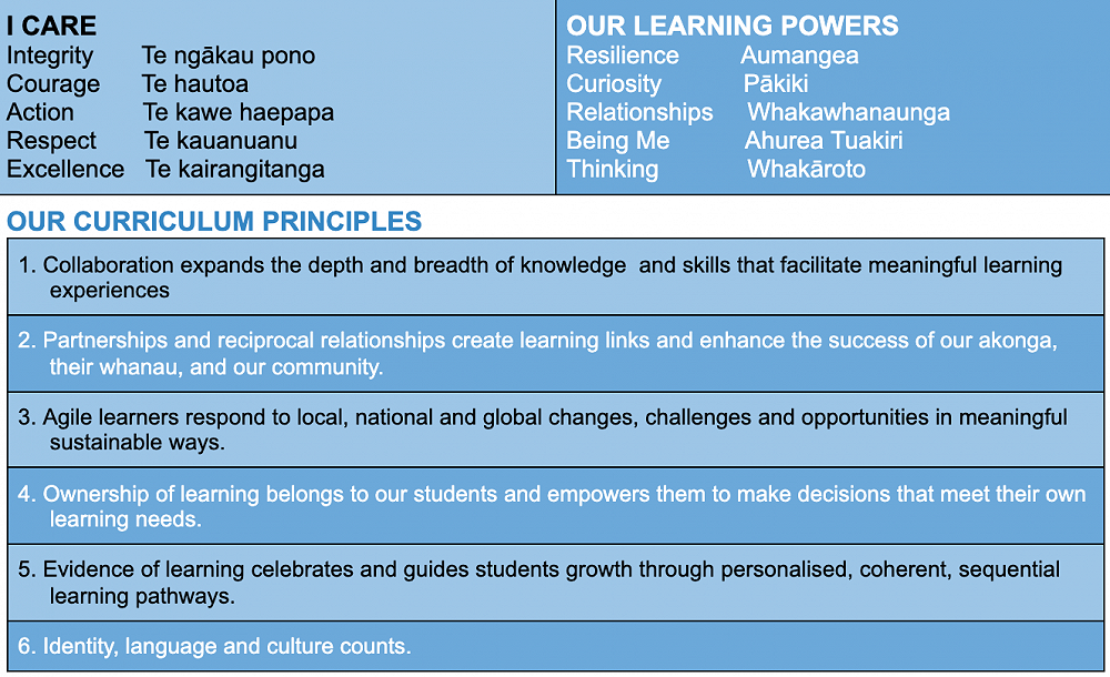 I CARE Values, Learning Powers and Curriculum Principles.