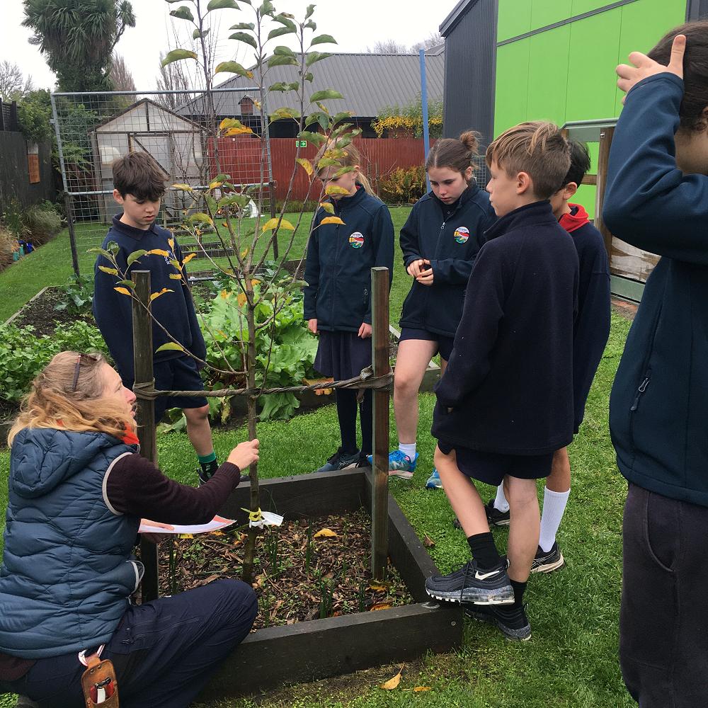 Enviro Team Year 6
