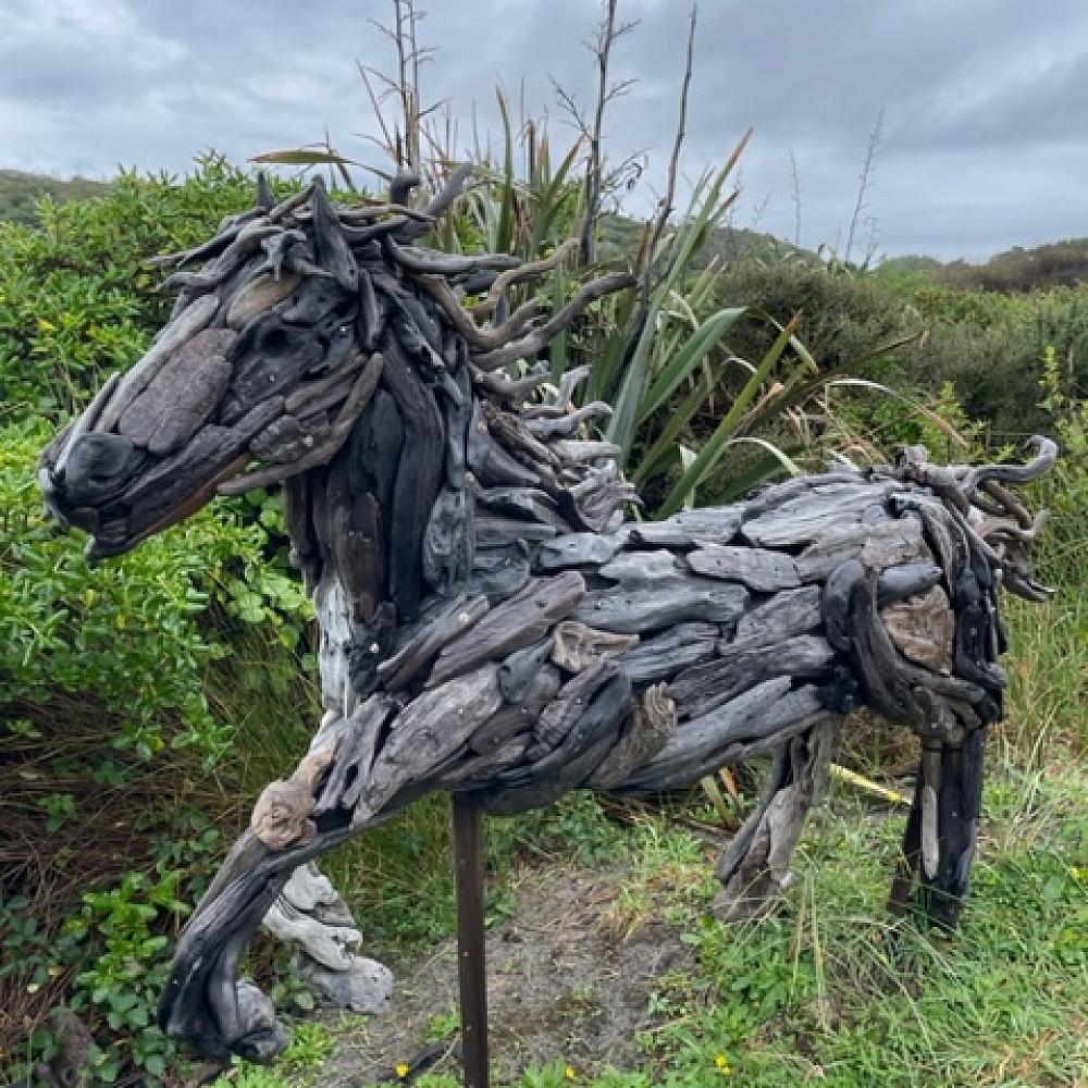 Tihiraki North Loburn School Term 2 Week 1