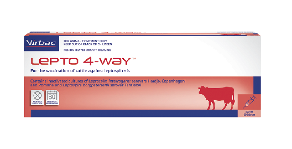 Lepto vaccine update — Summer Dairy Notes 2023