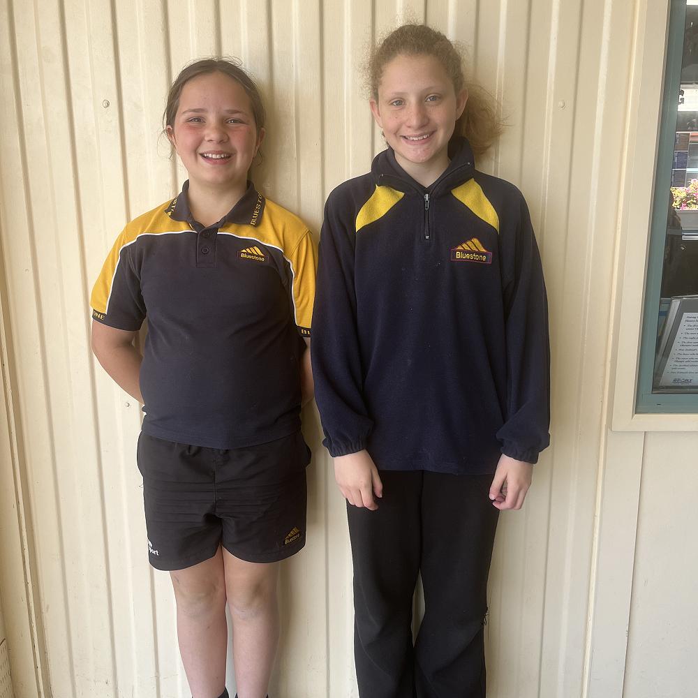 Representative Hockey