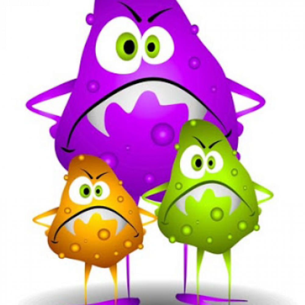 Bishopdale School Newsletter - 19th May 2021 (Week 3 - Term 2)