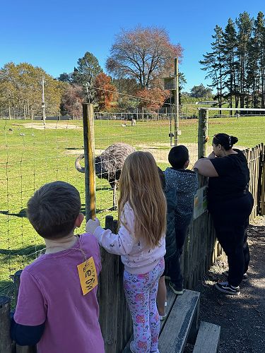 Junior School Zoo Trip