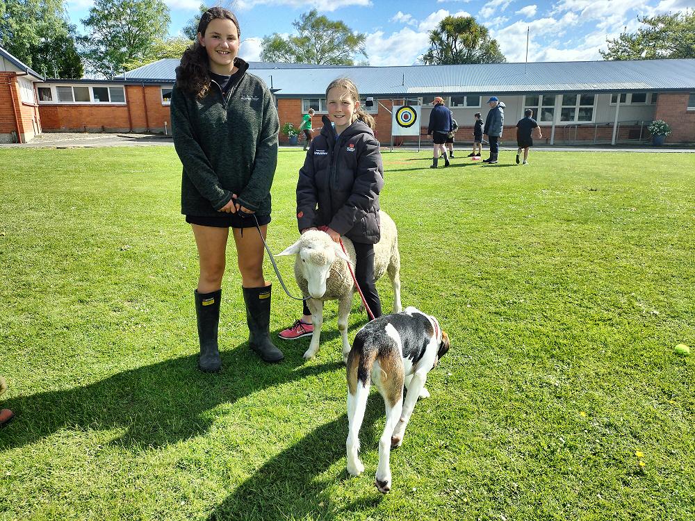 Newsletter: Week 3 Term 4 2022