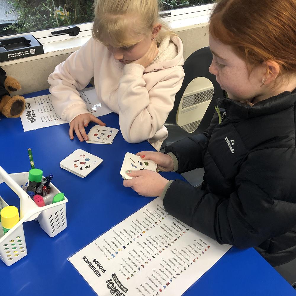 Check out what is happening in the Year 5 & 6 Team this term at Tauriko ...