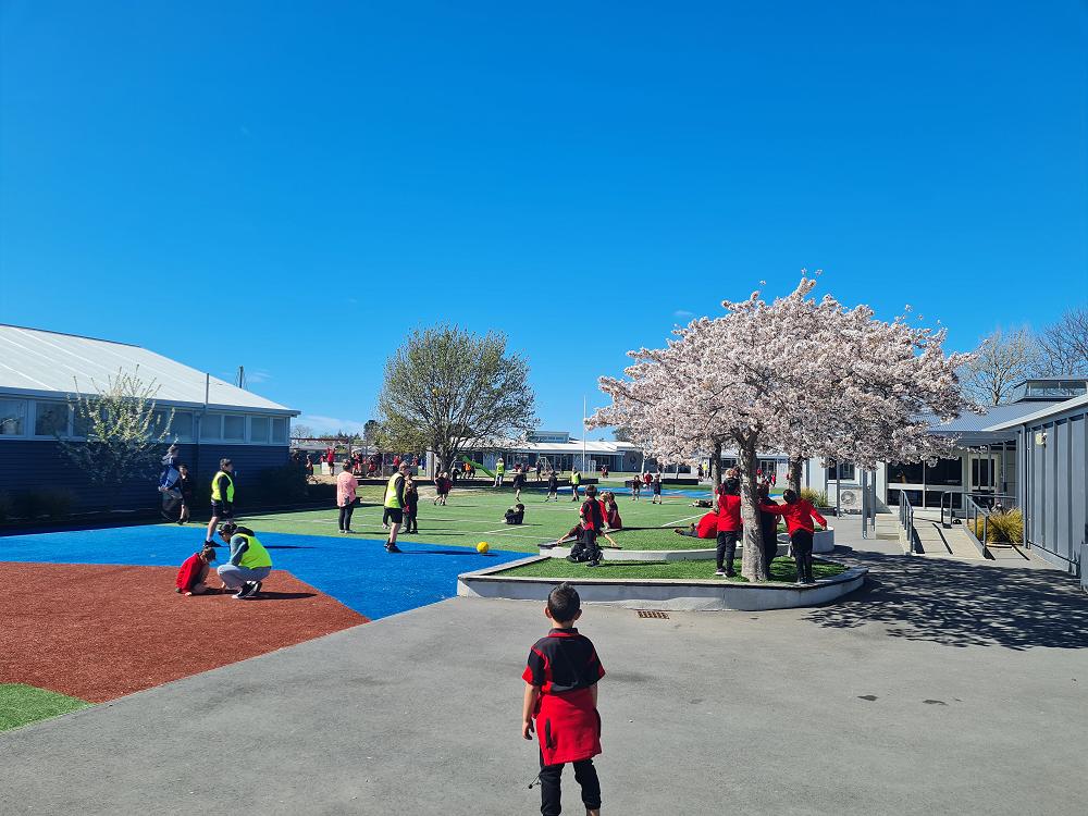 New team for 2024... — Term 4, Week 10