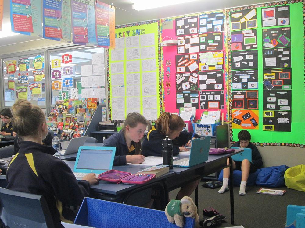 A busy term for Room 19! — 2015 at Bluestone School