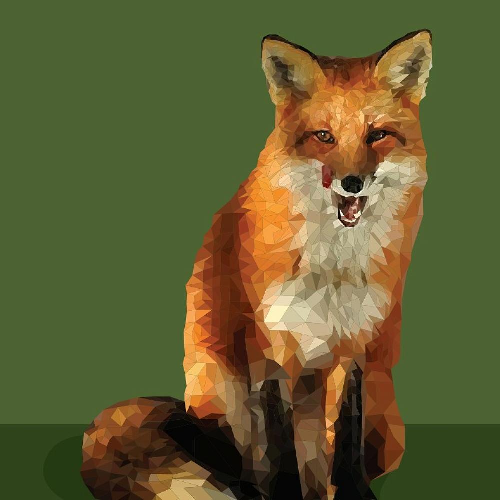 Neo Graphic Design Class Produce Impressive Vector Polygon Drawings ...