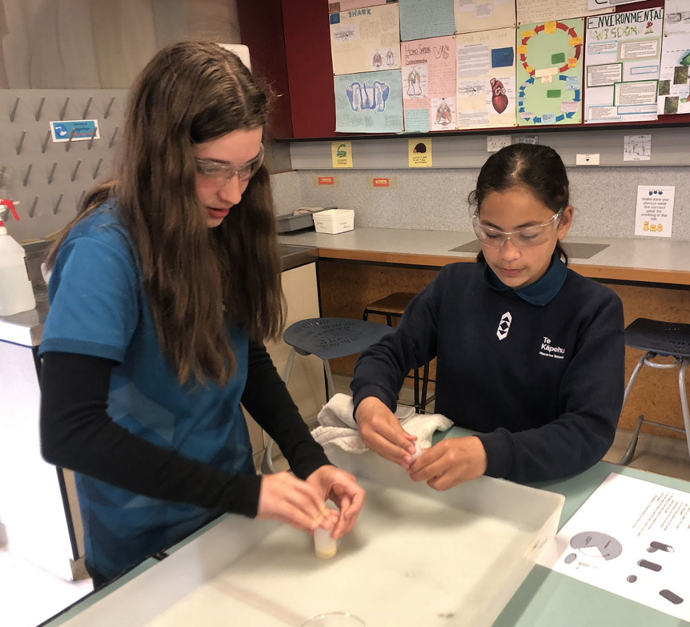 Year 7 Gate Visit to RHS