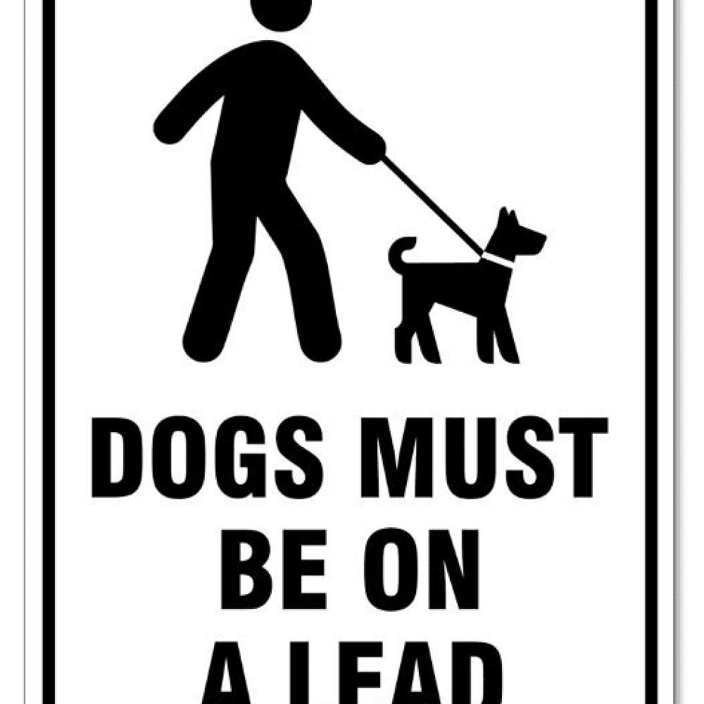 A friendly reminder to please keep your dog on a lead at all times.
