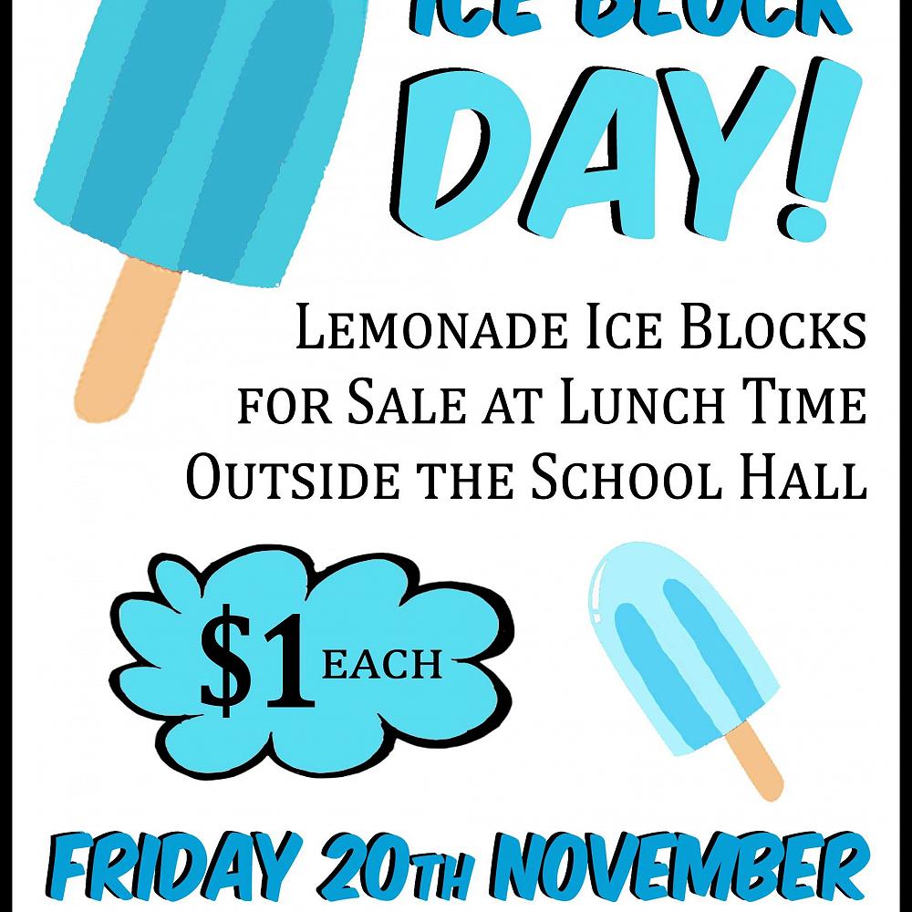Ice Block Day — 19th November 2020 Newsletter