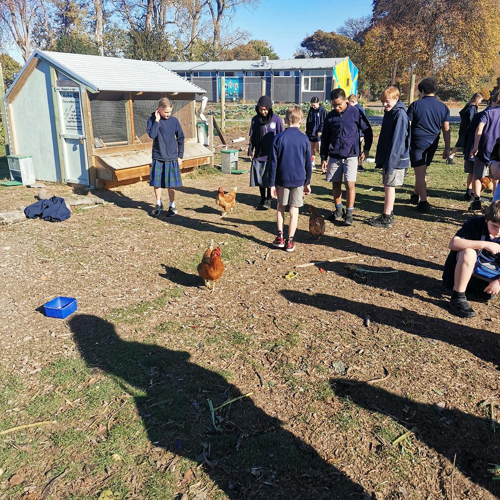 Te Oraka Shirley Intermediate Week 2, Term 2, 2024