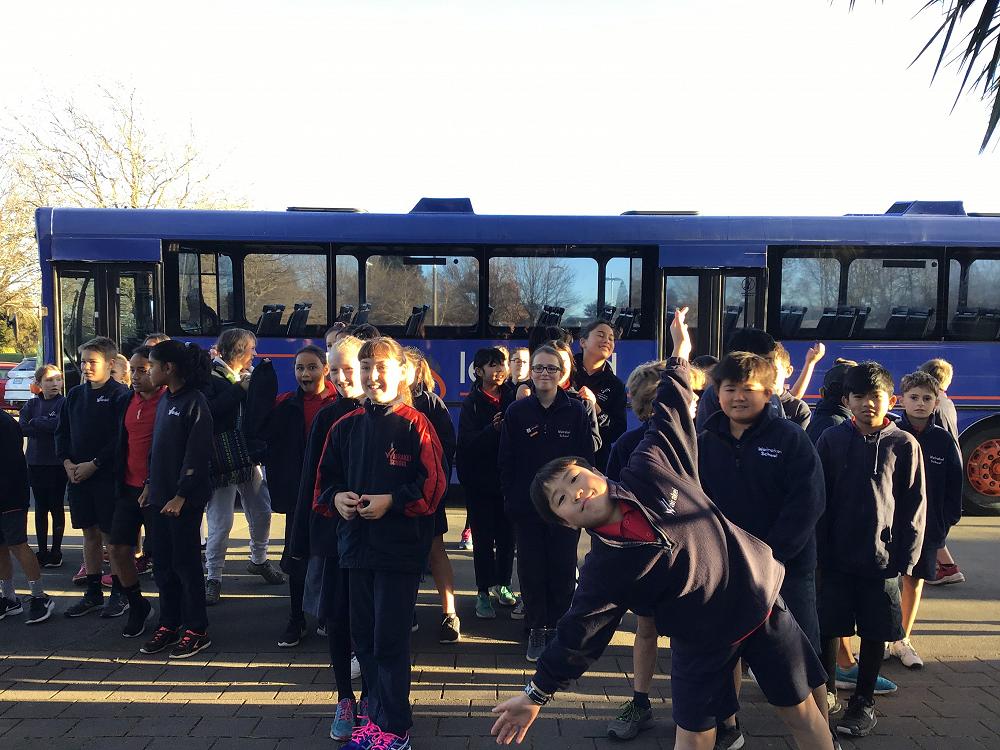 Cobham experience 2019