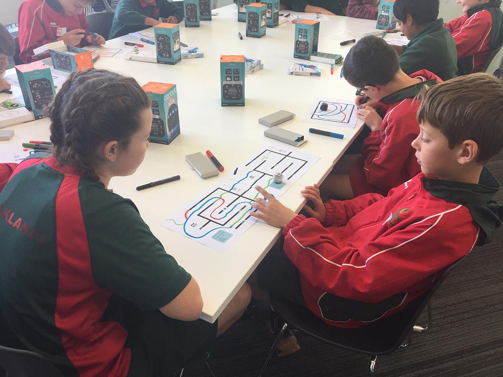 7/8SB visits Te Hapua