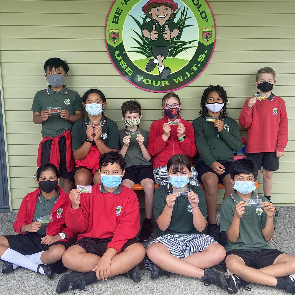 News from the Principal - Week 2 — Whītau School - Weekly Newsletter No ...