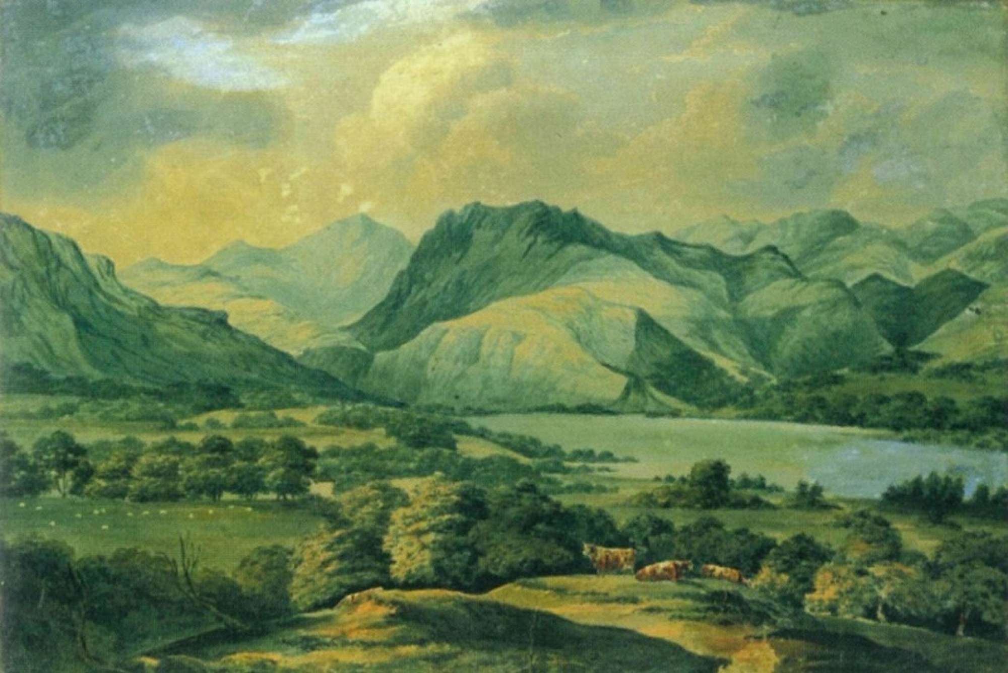 Te Whānau Wiremu ki Aotearoa: How the Williams’ story has shaped ...