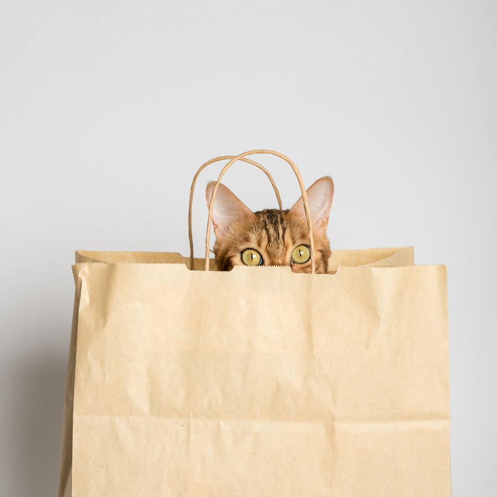 New Dashboard — Latest News from the Hail Team.