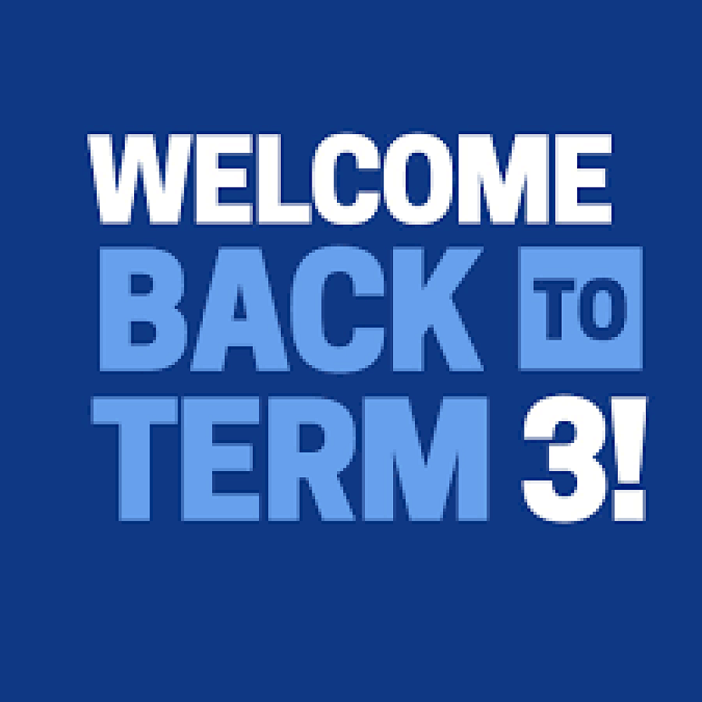 Year 7 and 8 Team Term 3 2023 Pānui