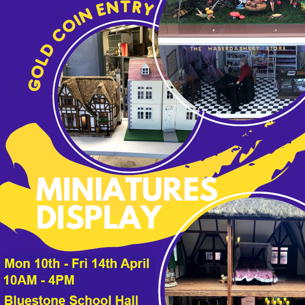 Miniatures Display