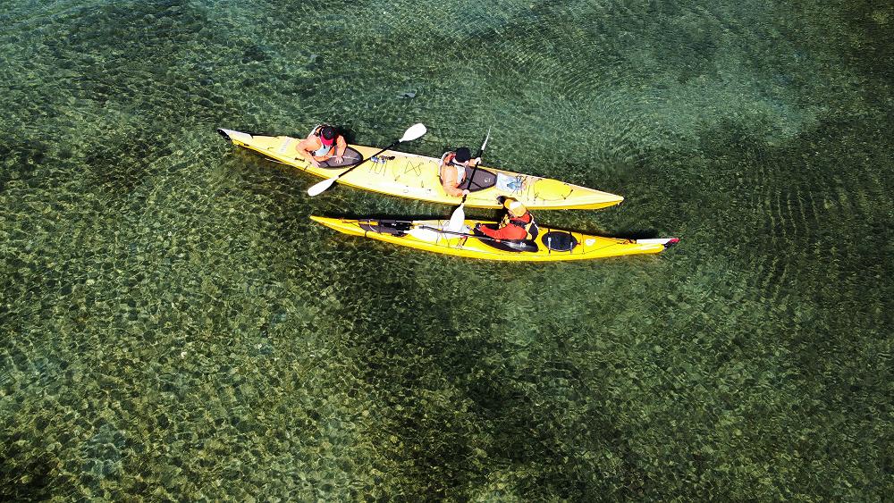 Year 13 Adventurers kayak the Marlborough Sounds