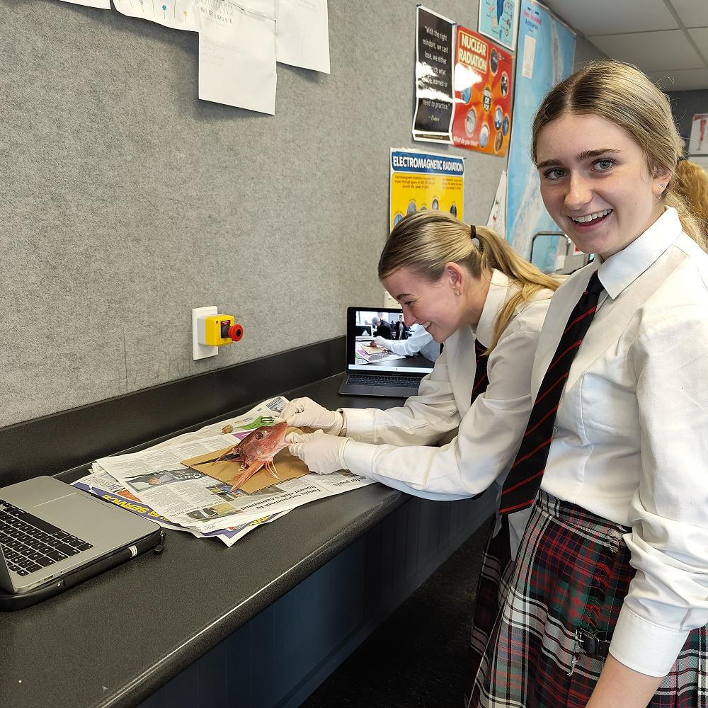 Year 12 Biology Dissection