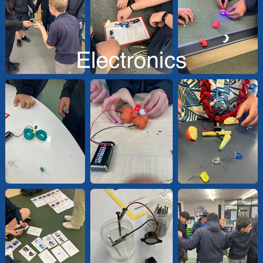 So Much Science in Room 1 — Te Oraka Shirley Intermediate Week 8, Term ...