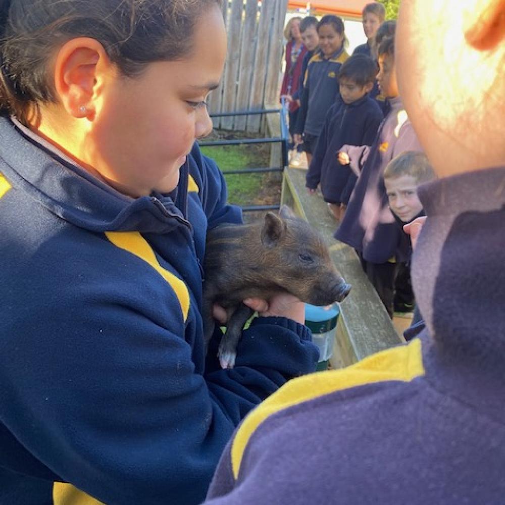 Special animal visitors came to Bluestone School