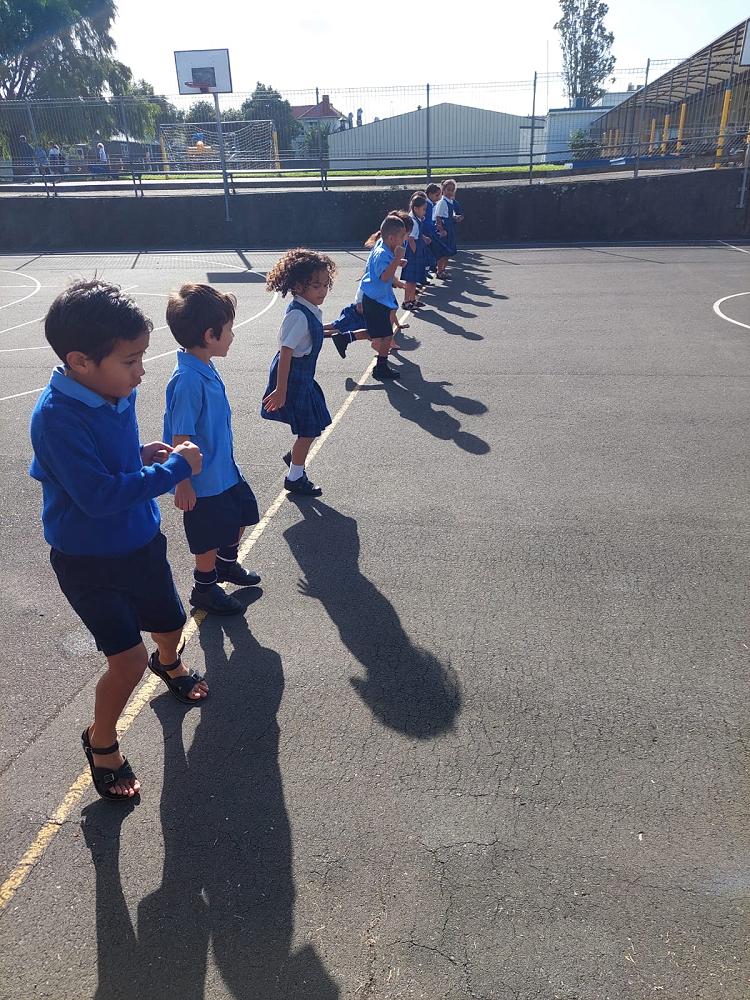 He kākano ahau, i ruia mai i Rangiatea..."I am a seed born of Greatness"