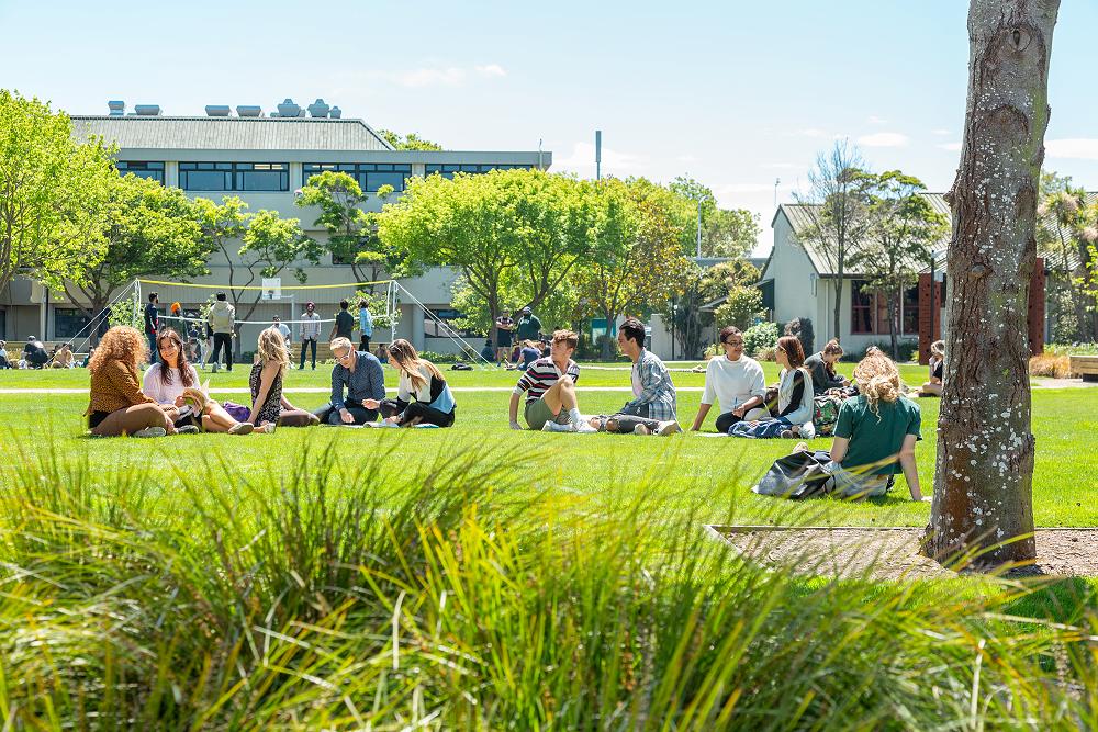 Welcome to Term Three!