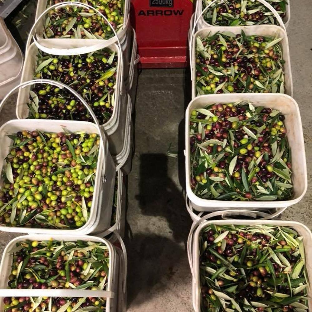 FAQ - Frequently Asked Questions — COOG Newsletter April 2023