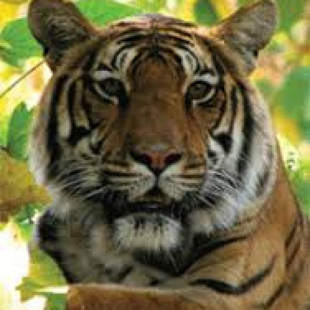 Writing from the children in the Ray Blank room