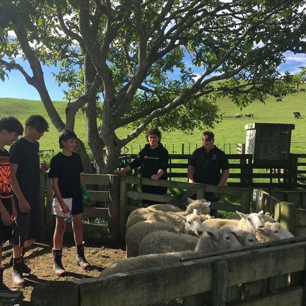 Primary Trades Academy