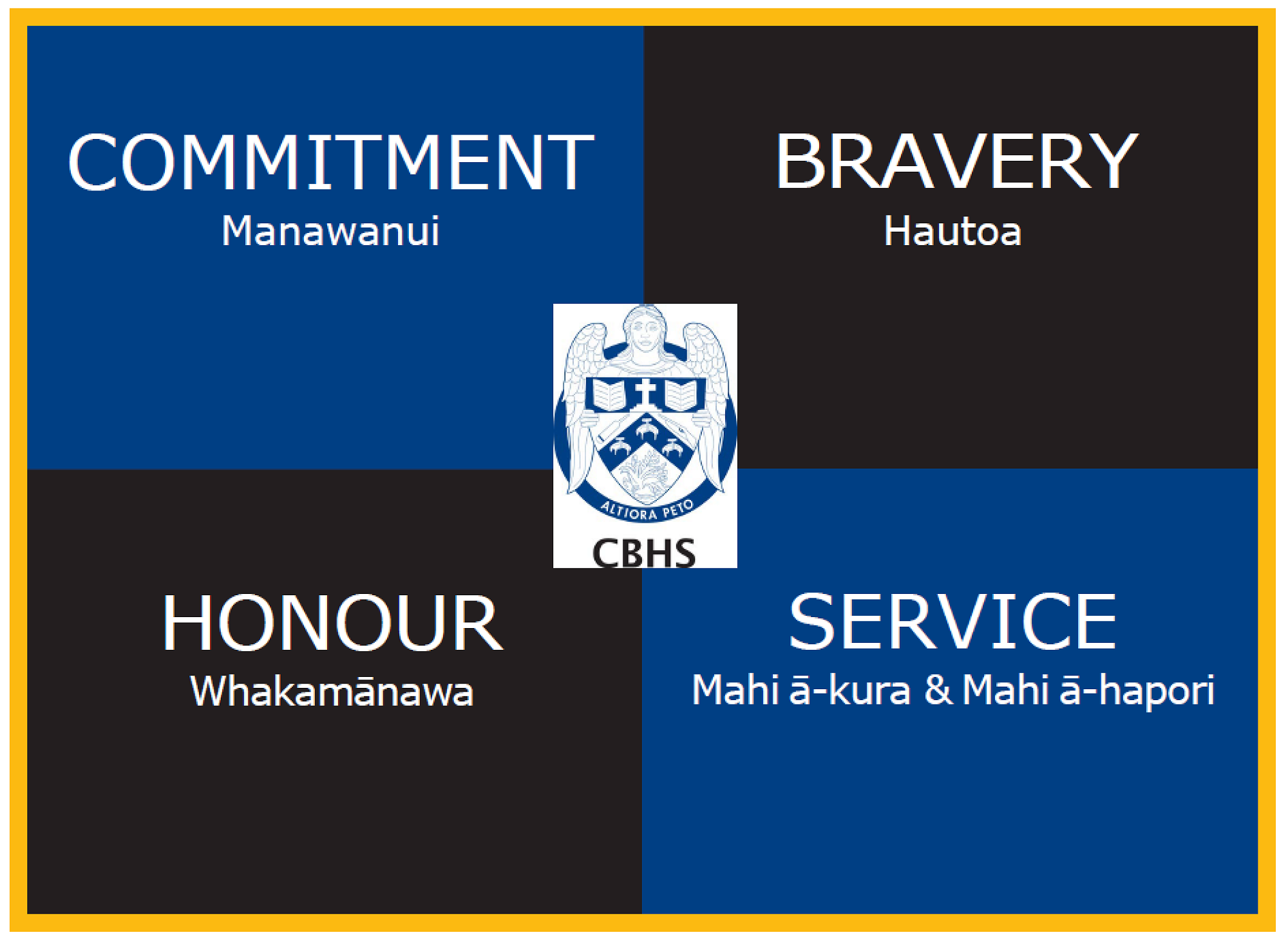 CBHS Strategic Outcomes