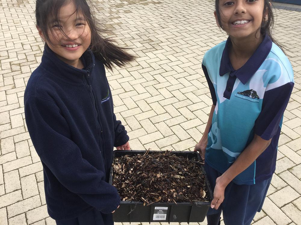 Part of the PiPS programme.