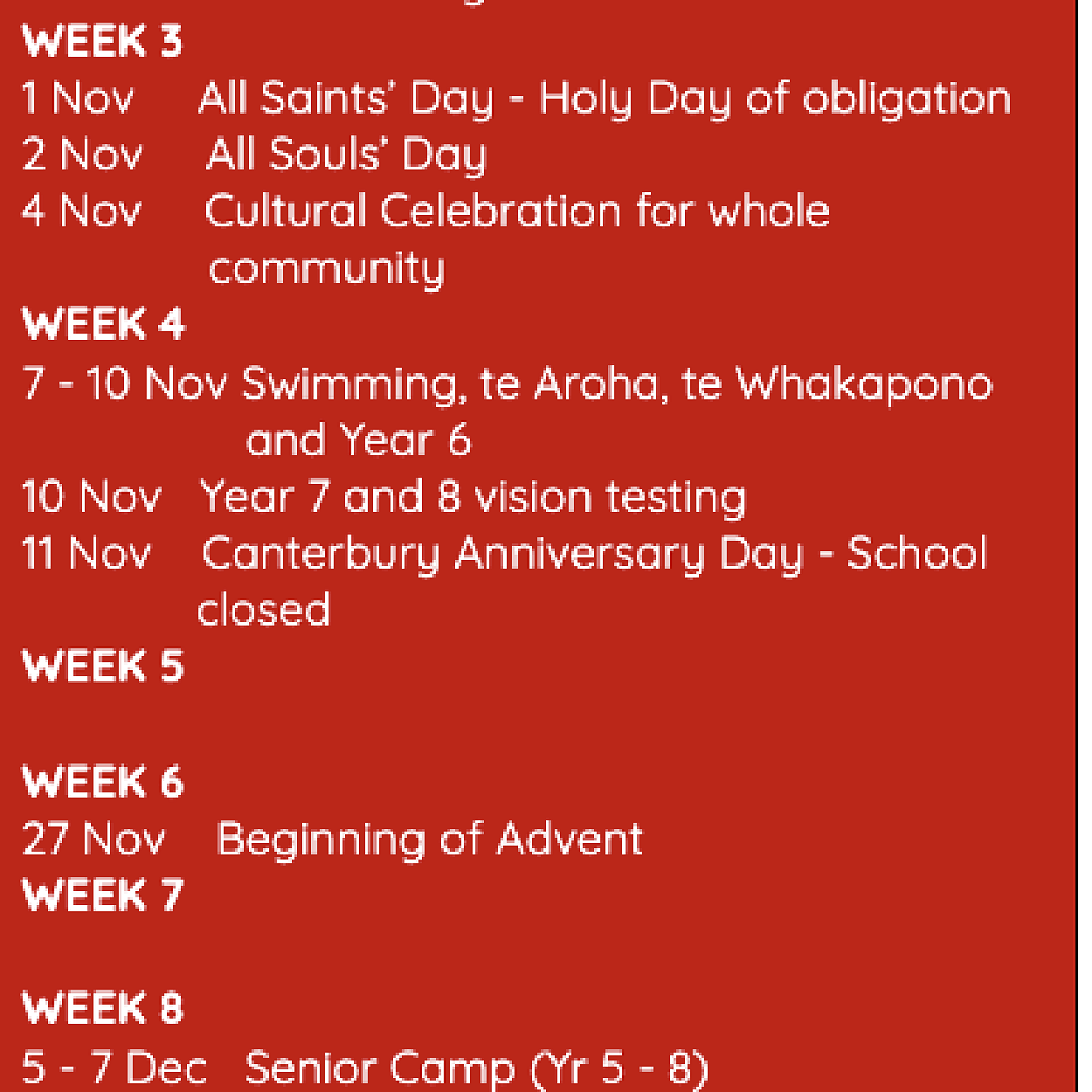 Week 1, Term 4, 2022 Newsletter