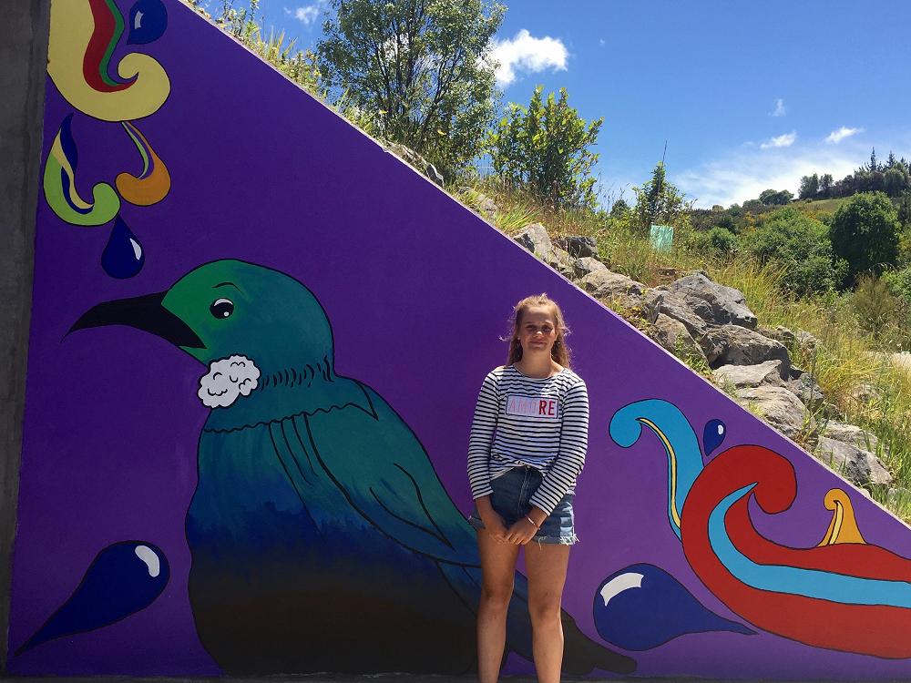 Marvellous Mapua Murals.