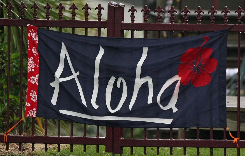 Aloha Night Newsletter No 1