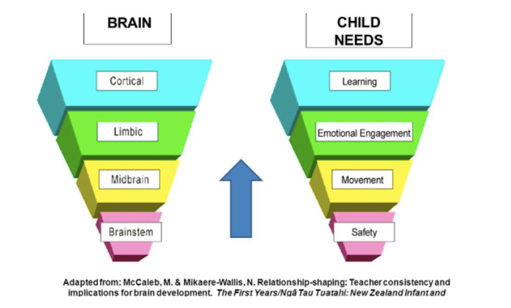 Brain Development — Our Learning - a play rich environment