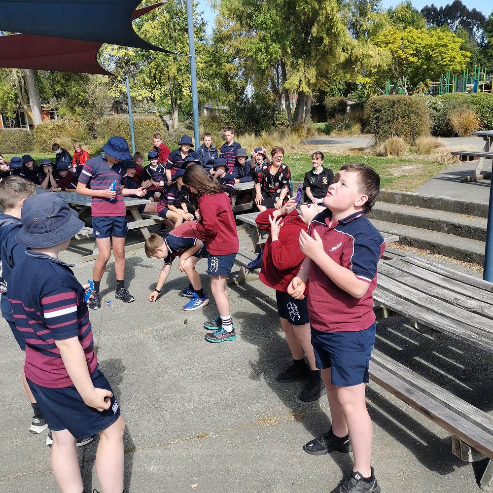 Point Primary Pānui - Term 4 Week 1