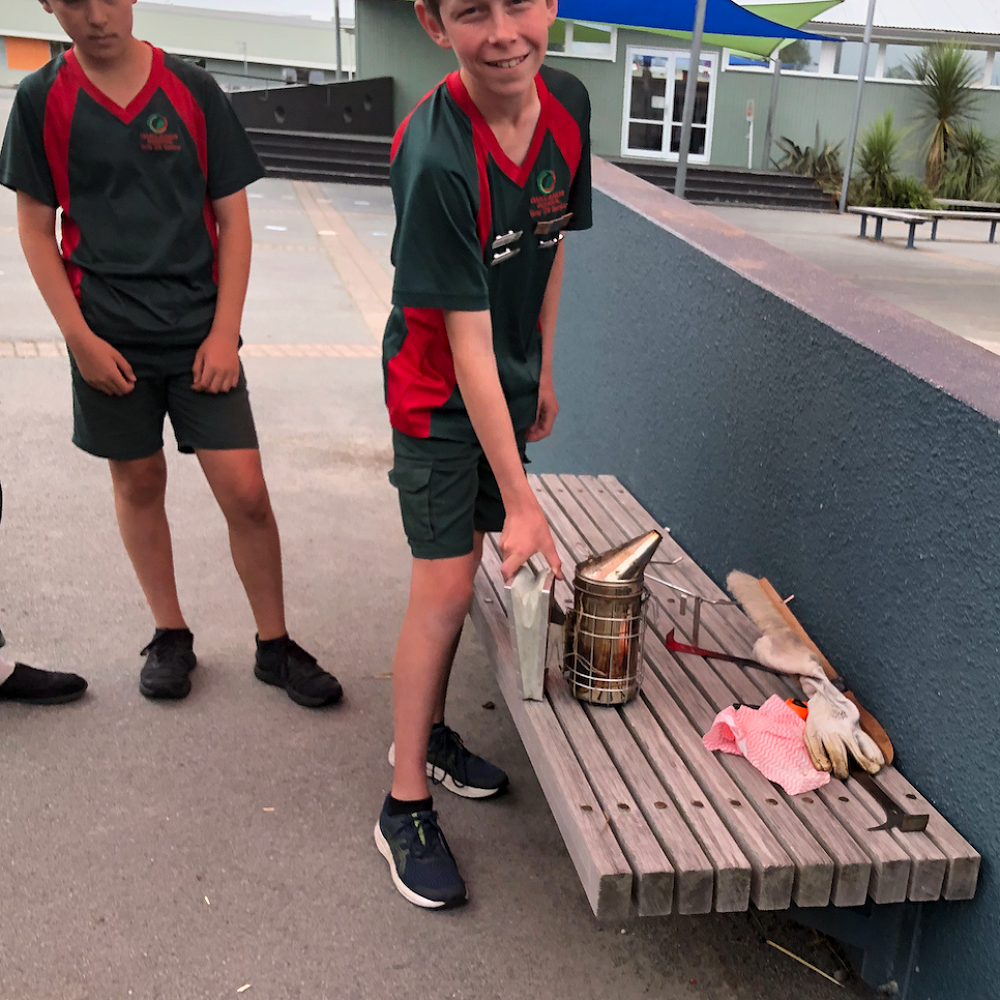 Term 4 Week 7 in review...