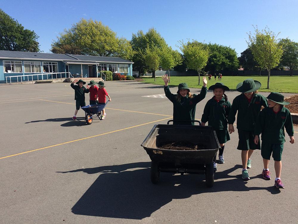 Term 4, Week 1 in Review