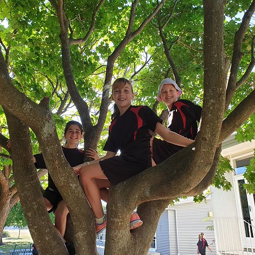 Waimea Intermediate School