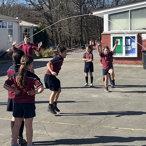 Point Primary Pānui - Term 3 Week 7